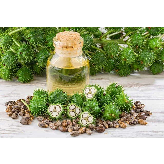 Natural Castor Oil | Organic Castor Oil Price Bulk Castor Oil In Good ...