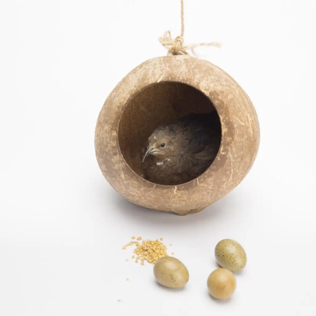 Hanging Coconut Shell Bird House For A Hamster Bird Cage Toy Pet Bird ...