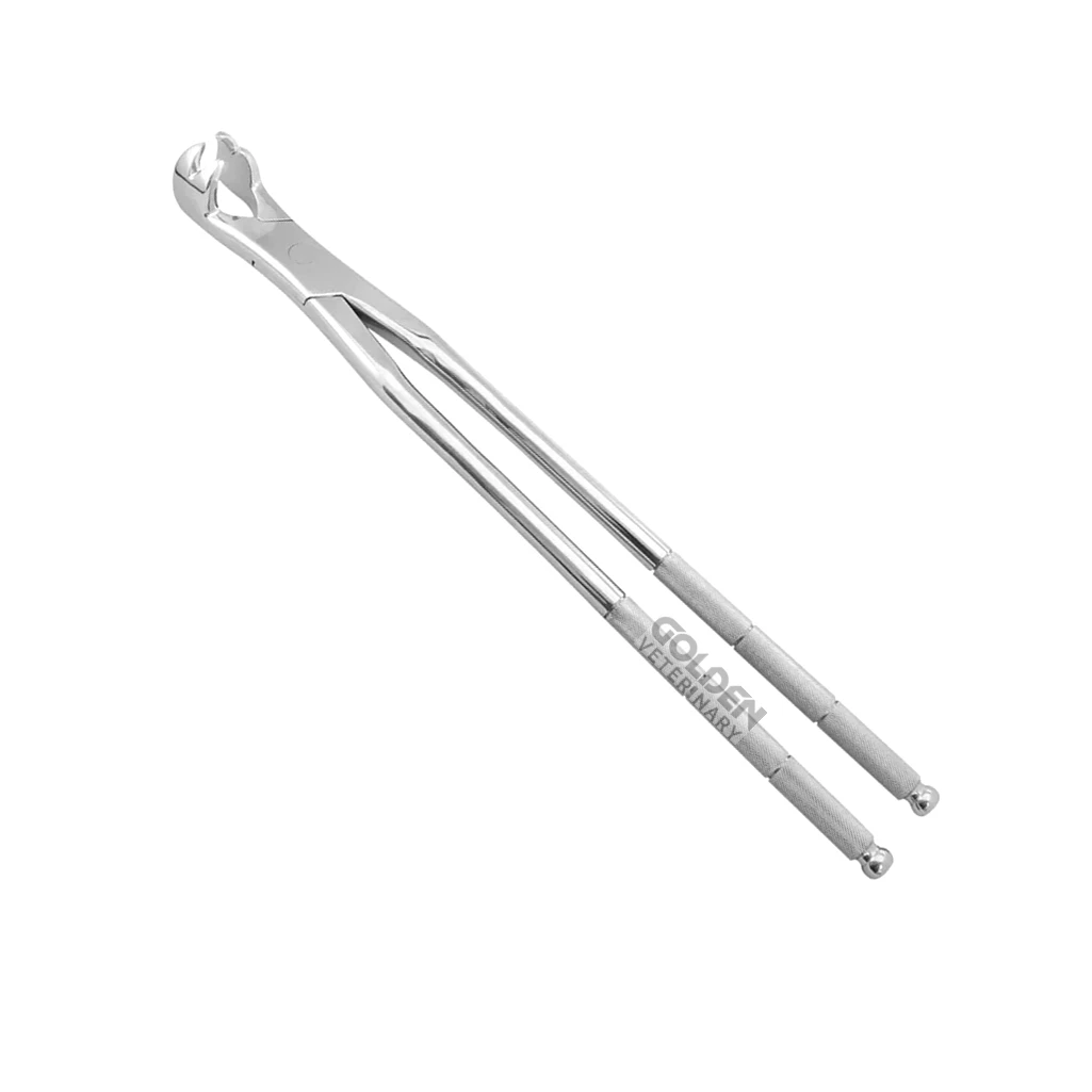 Serrated Jaw Molar Equine Dental Forceps With Fulcrum 19 Equine ...
