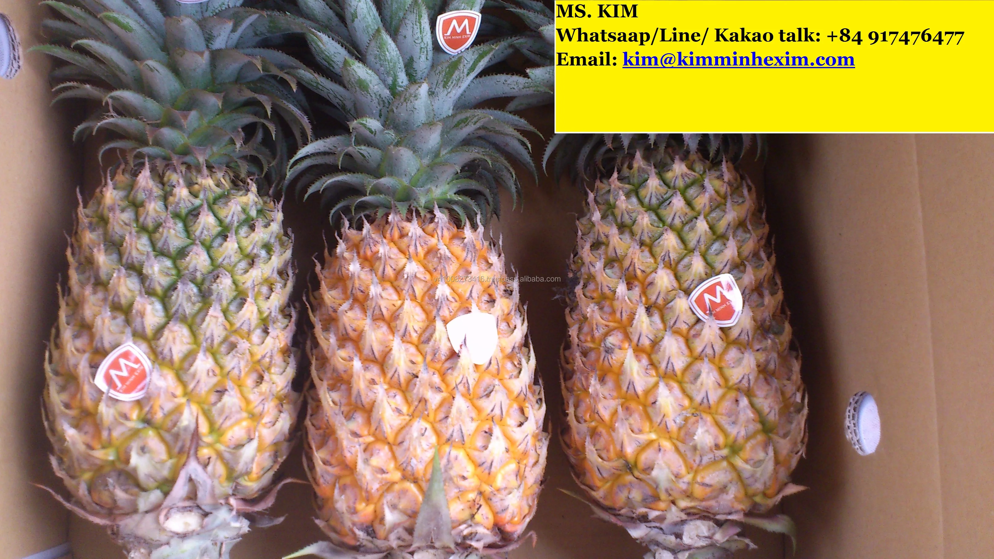 Fresh Pineapples With Cheap Price-- Hp 0084 917 476 477 - Buy Fresh ...