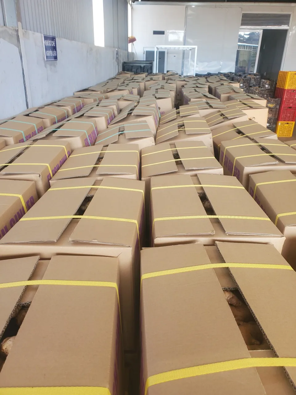 Fresh Ginger 10kg/carton,Vietnam New Crop - Wholesale Export - Whatsapp ...