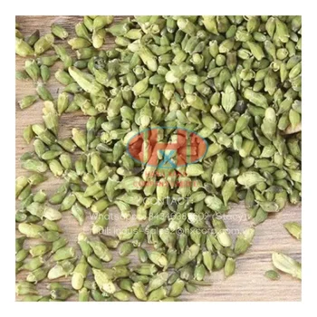 Dried Sophora Japonica Flower/ Dried Sophora Japonica For Tea And Rutin ...