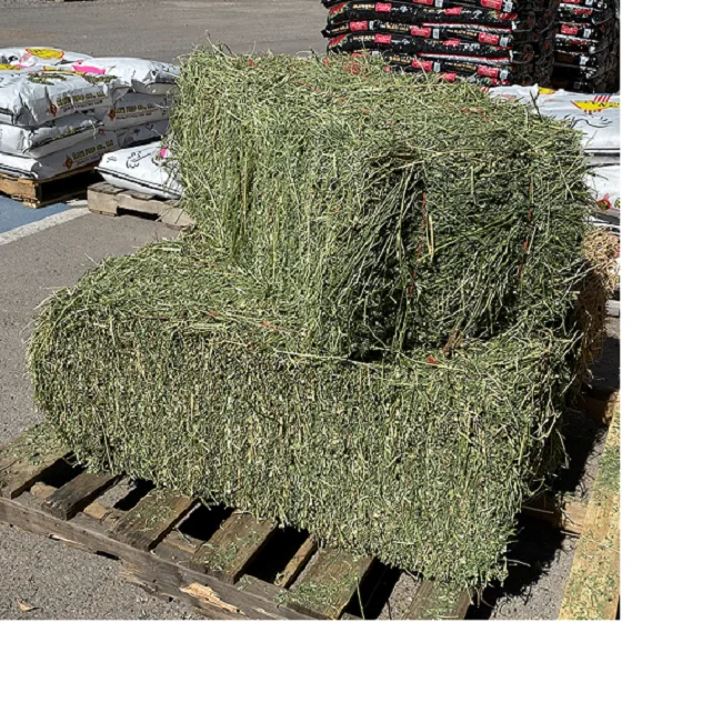 Top Protein Alfalfa Hay Bales For Animal Feed Hay Exporters And ...