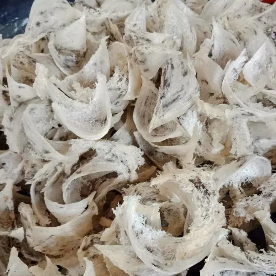 Raw Edible Bird's Nest Pure Bird Nest Corner Original Swallow Bird Nest ...