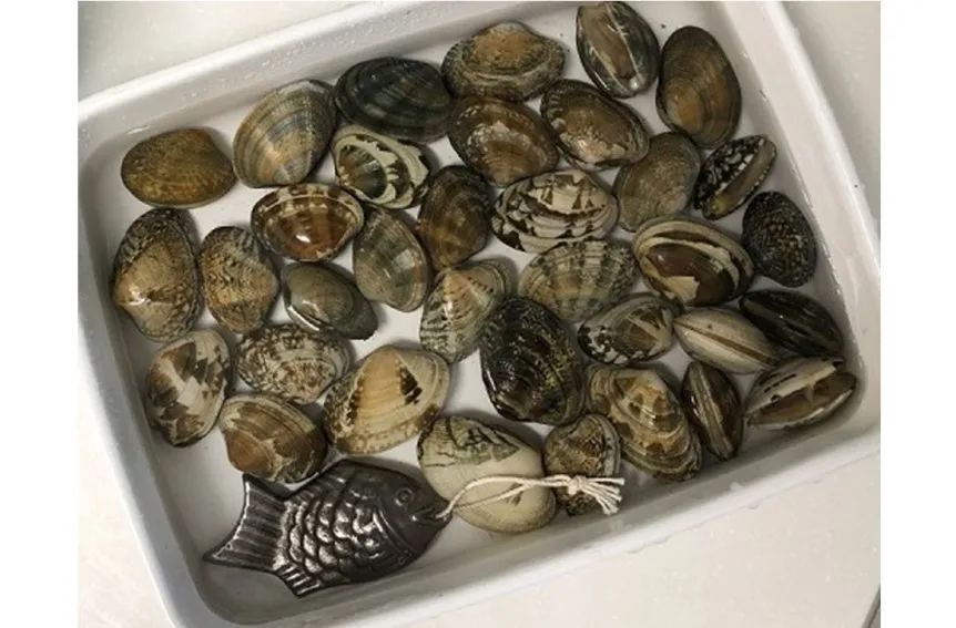 Made In Japan Fish-shaped Cooking Tools For Effective Iron Intake Cast ...