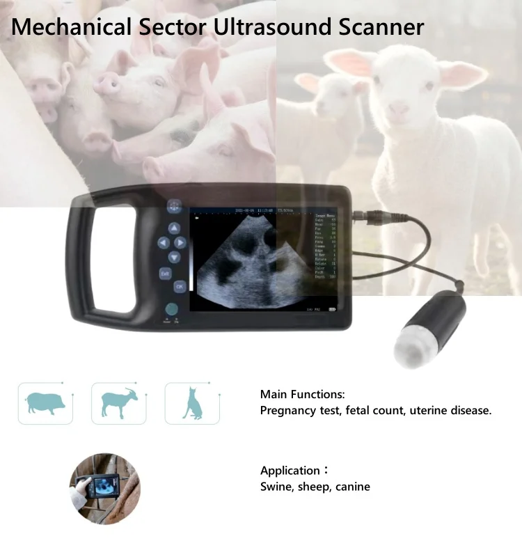 Portable Handheld Veterinary Ultrasound Scanner Vet Monitoring ...
