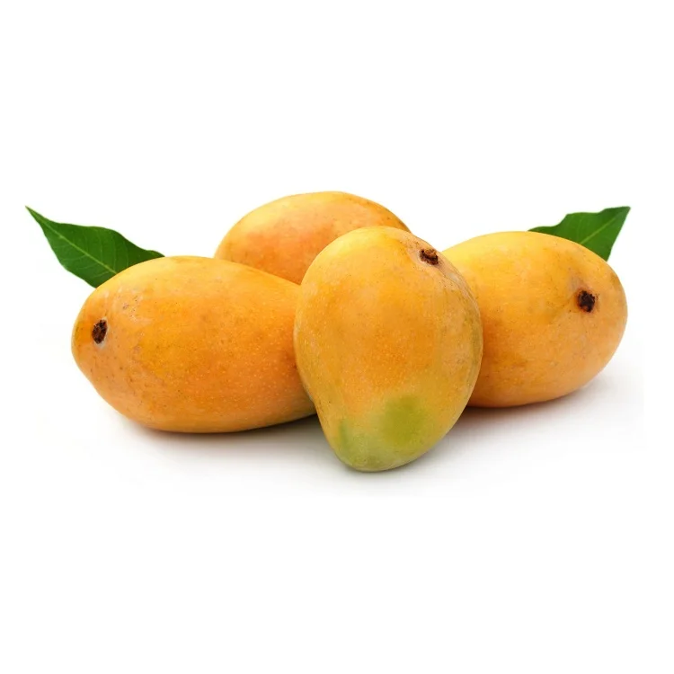Fresh Mango Fruit Ready To Export Mangoes - Buy Bulk Fresh Fruit ...
