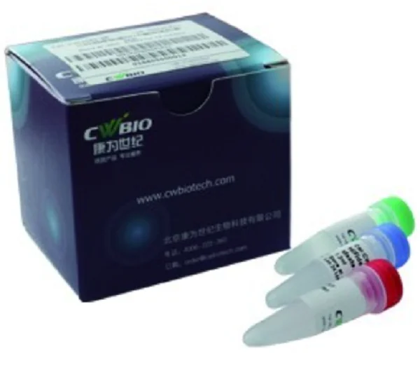 Ngs Fast Dna Library Prep Set For Illumina - Buy Dna Library Prep Set ...