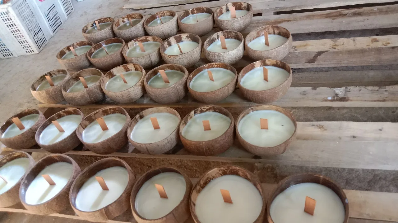 Luxury Coconut Shell Bowls Candle Wood Wick Scented Candle Essential ...