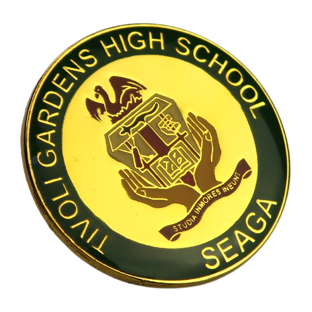 Promotional Graduation Gift Custom Metal Lapel Pin For Junior High ...