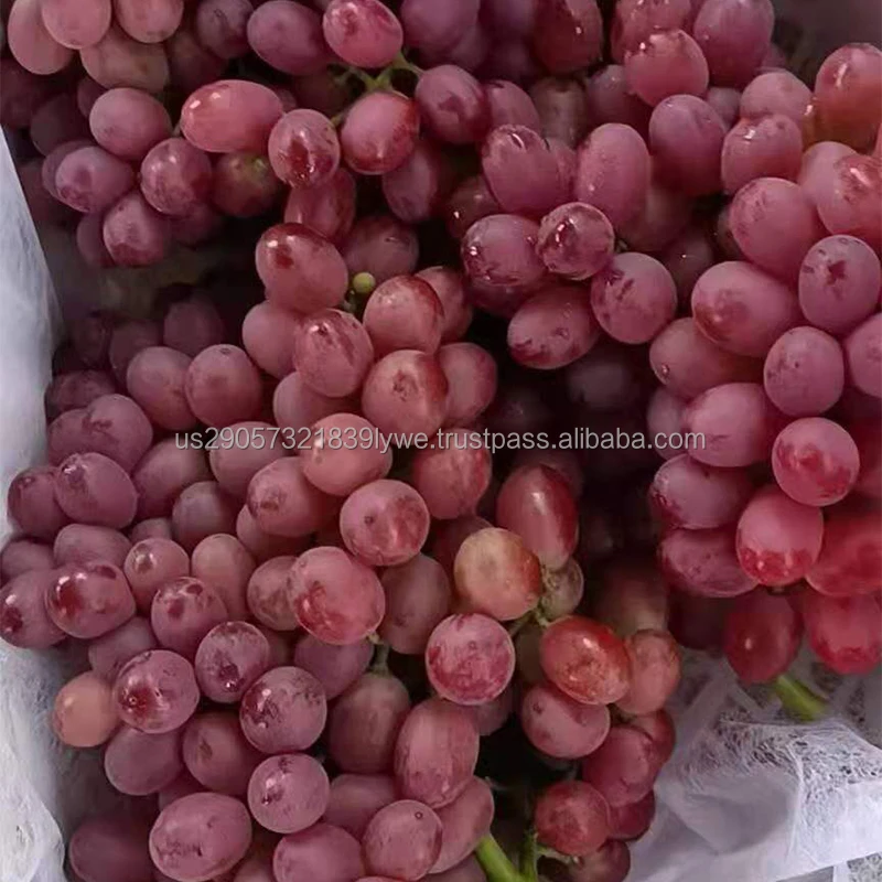 Fresh Fruits New Harvest New Crop Fresh Grapes Seedless Green,Crimson ...