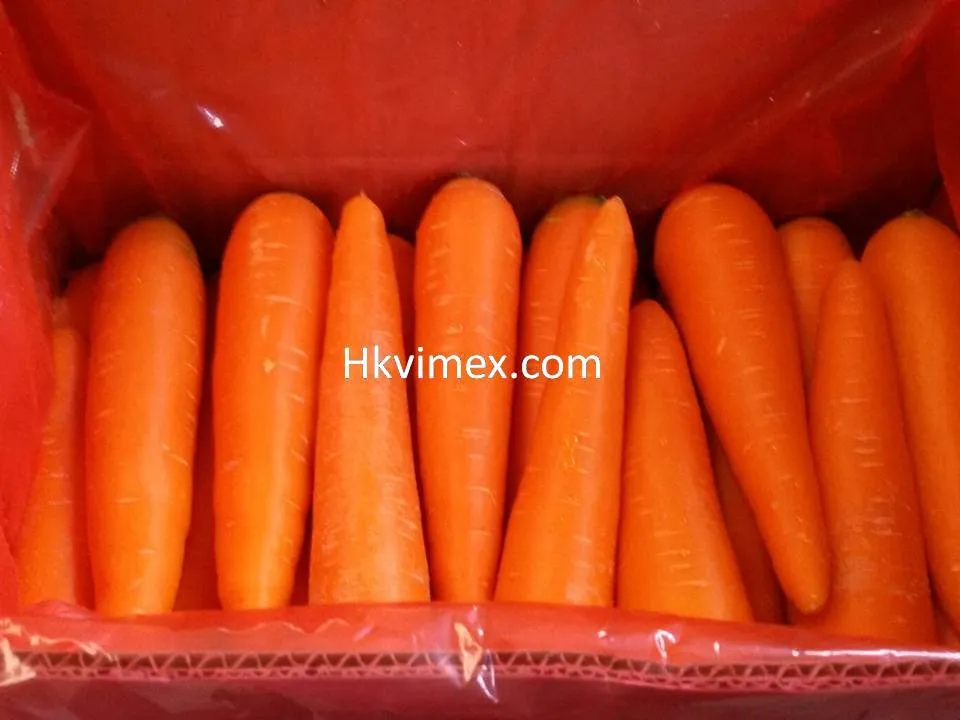 Carrot/ Carrot Special Product Fresh Red With Taste Sweet With High ...