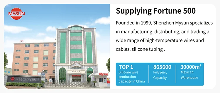 Our manufacturing facility