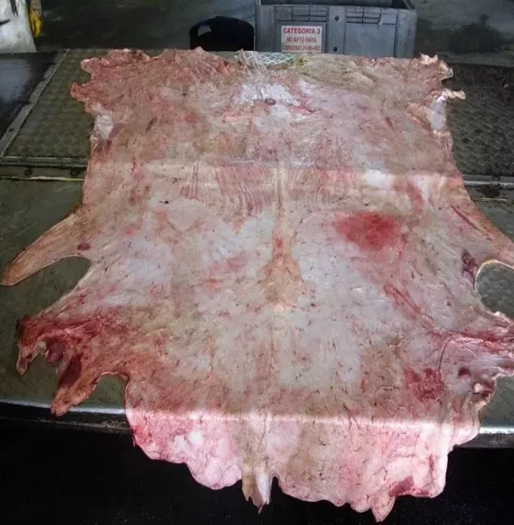 Wet Salted Cow Hides / Skins / Animal Cattle Hides In Bulk Stock For ...