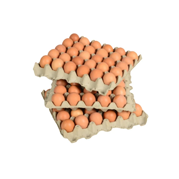 Fresh Brown and White Chicken Table Eggs - 30 Eggs Laid