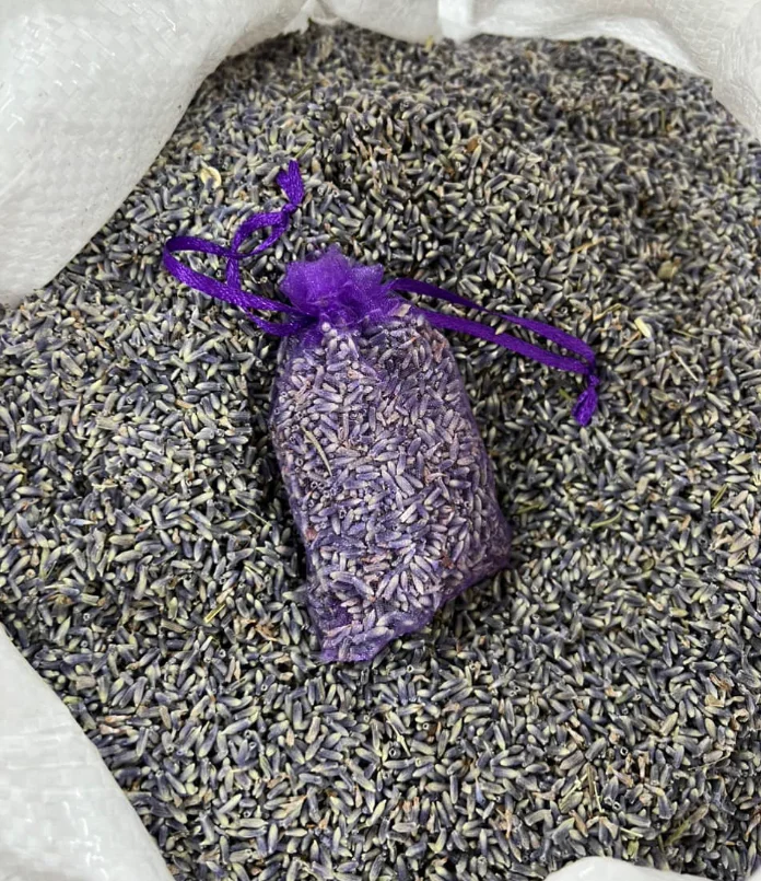 Supper Elegent Smell Lavender Buds Packed In Bag - Dried By Sun And ...