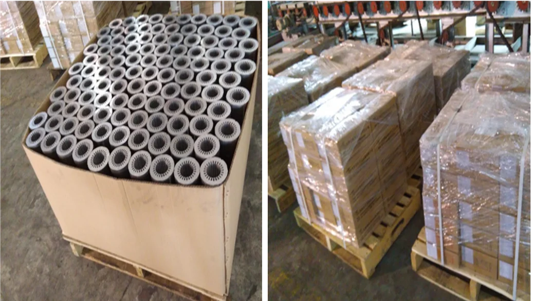 Prime Motor Stator Core & Customized Stamping for Brushless Motors