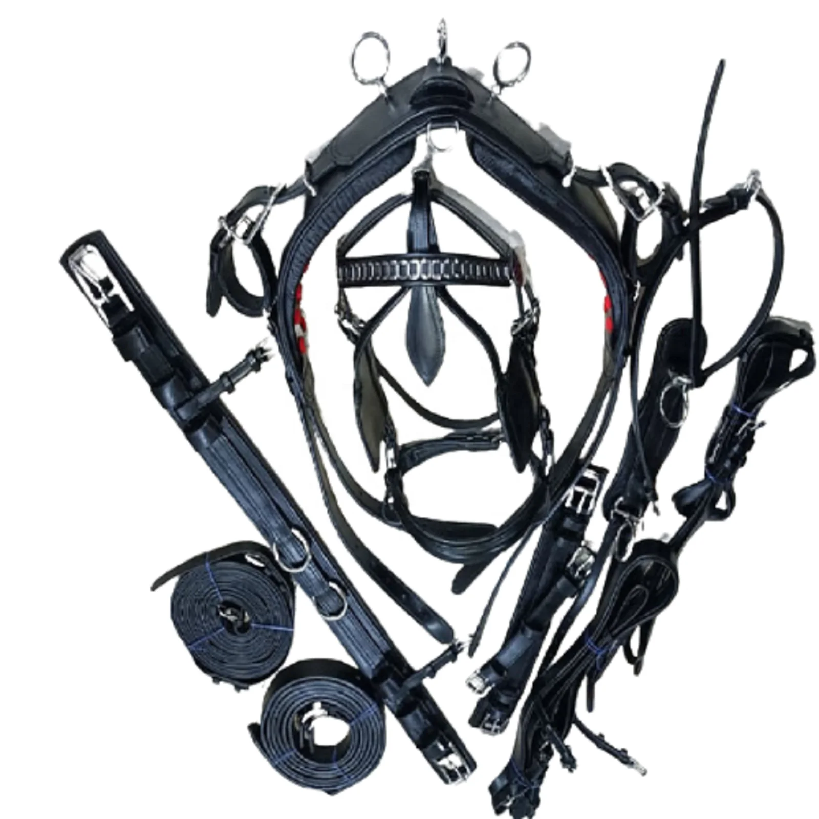 Horse Harness Set For Safe Racing And Riding / Lather Made Smart Horse ...