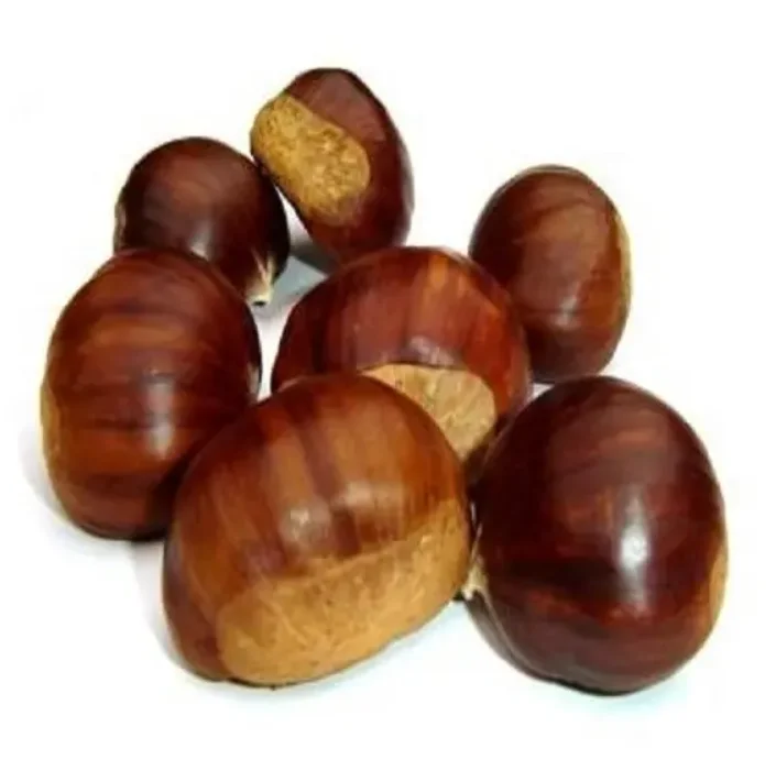 Best Selling Germany Shelled Fresh Raw Organic Chestnuts In 5kg Peeled ...