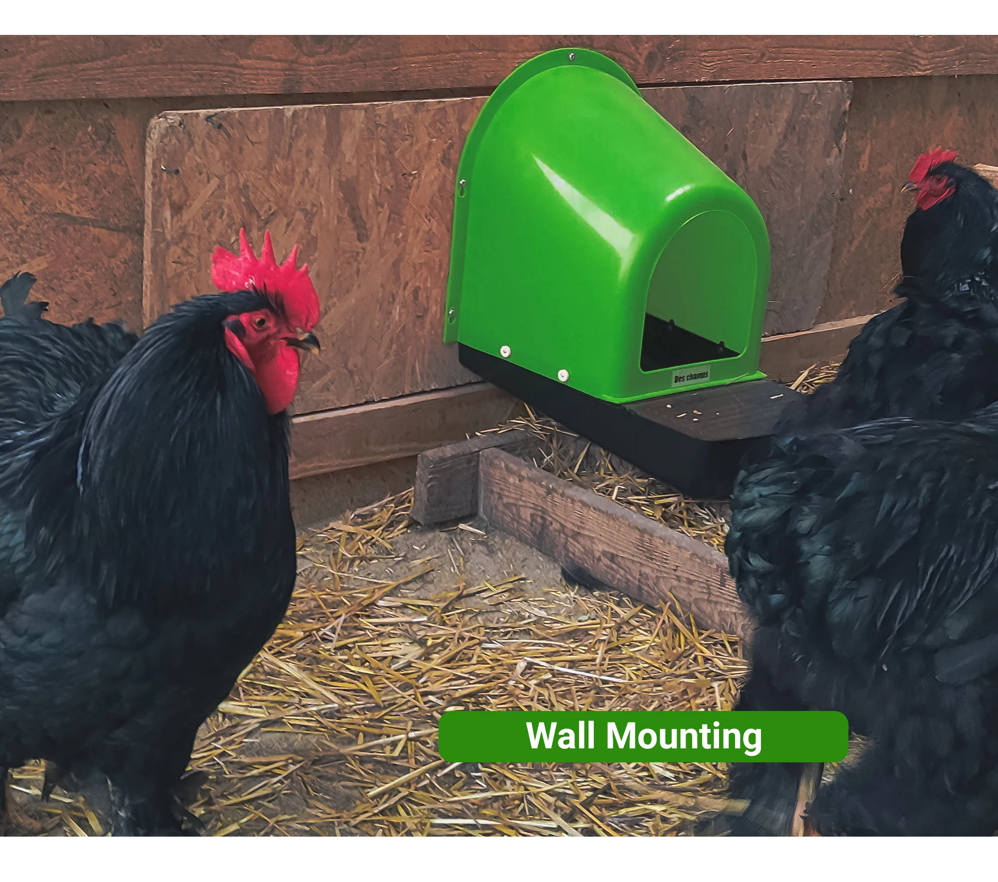 Poultry Chicken Hens Laying Nest Box - Easy Egg Collecting