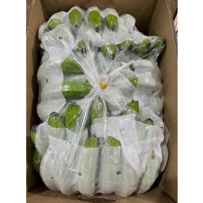Premium Fresh Cavendish Bananas Green Banana For Sale Custom Green ...