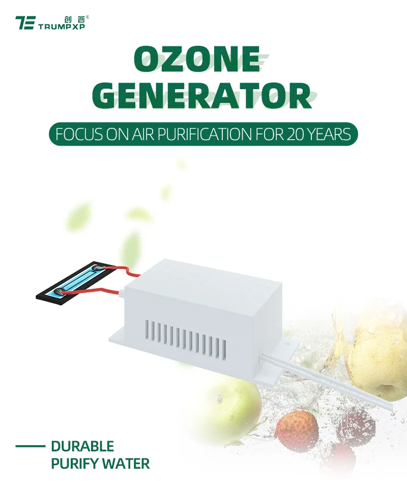 Customized Ozone Generator - 300mg/hr Mini Air Purifier