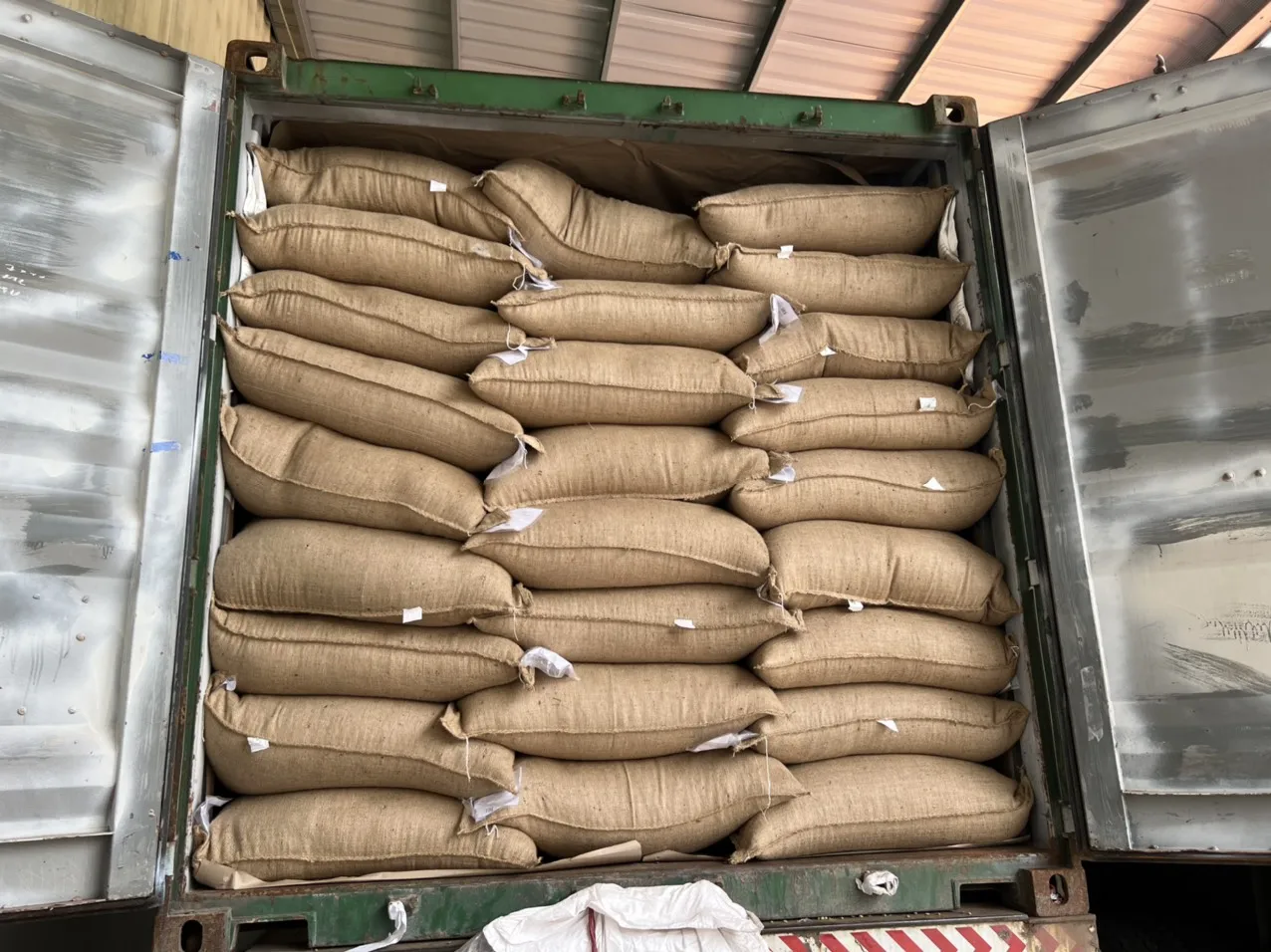 Grade 1 Vietnam Robusta Green Coffee Beans - 90% Maturity