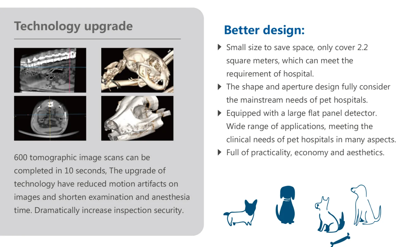 MSL Veterinary CT Scan Machine - Advanced Diagnosis Tools