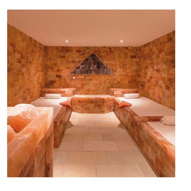 High Quality Natural Himalayan Pink Salt Bricks Rectangle Slab Services ...