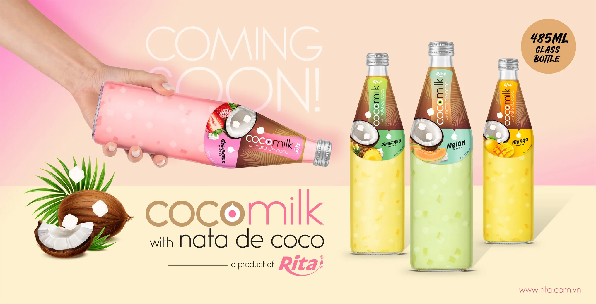 485ml RITA Coconut Milk Drink with Nata De Coco - High Quality