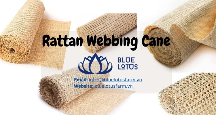Best Promotion 2023 Rattan Webbing Cane Mesh Roll From Blue Lotus ...