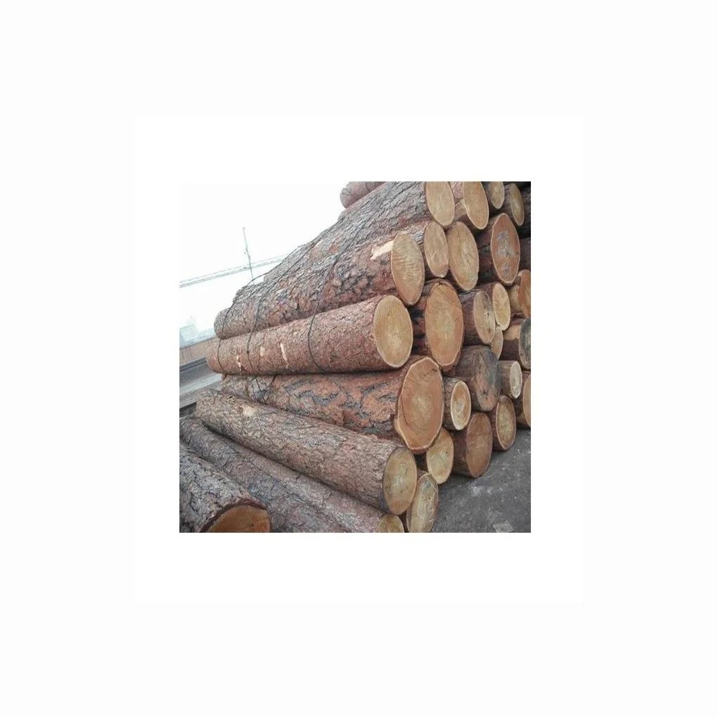 100% Pure Timber Logs Teak Wood / Oak Wood Logs / Pine Wood Logs - Buy ...