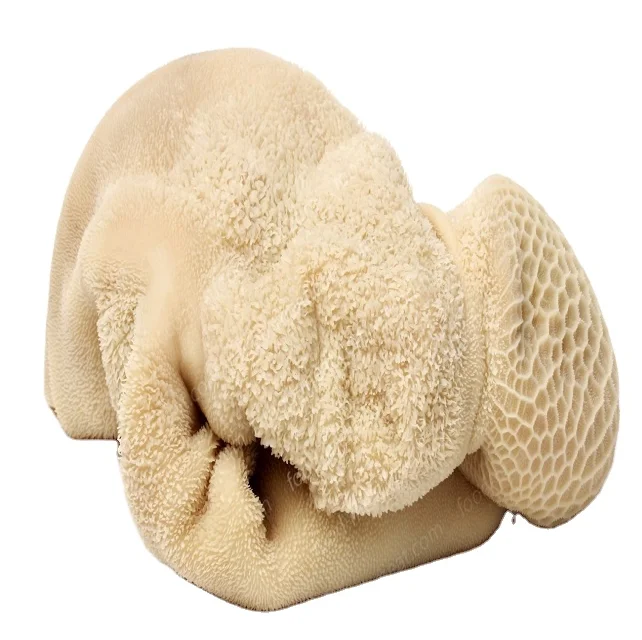 Dried Salted Frozen Beef Omasum/ Cow Stomach/ Grade Aa Halal - Buy ...