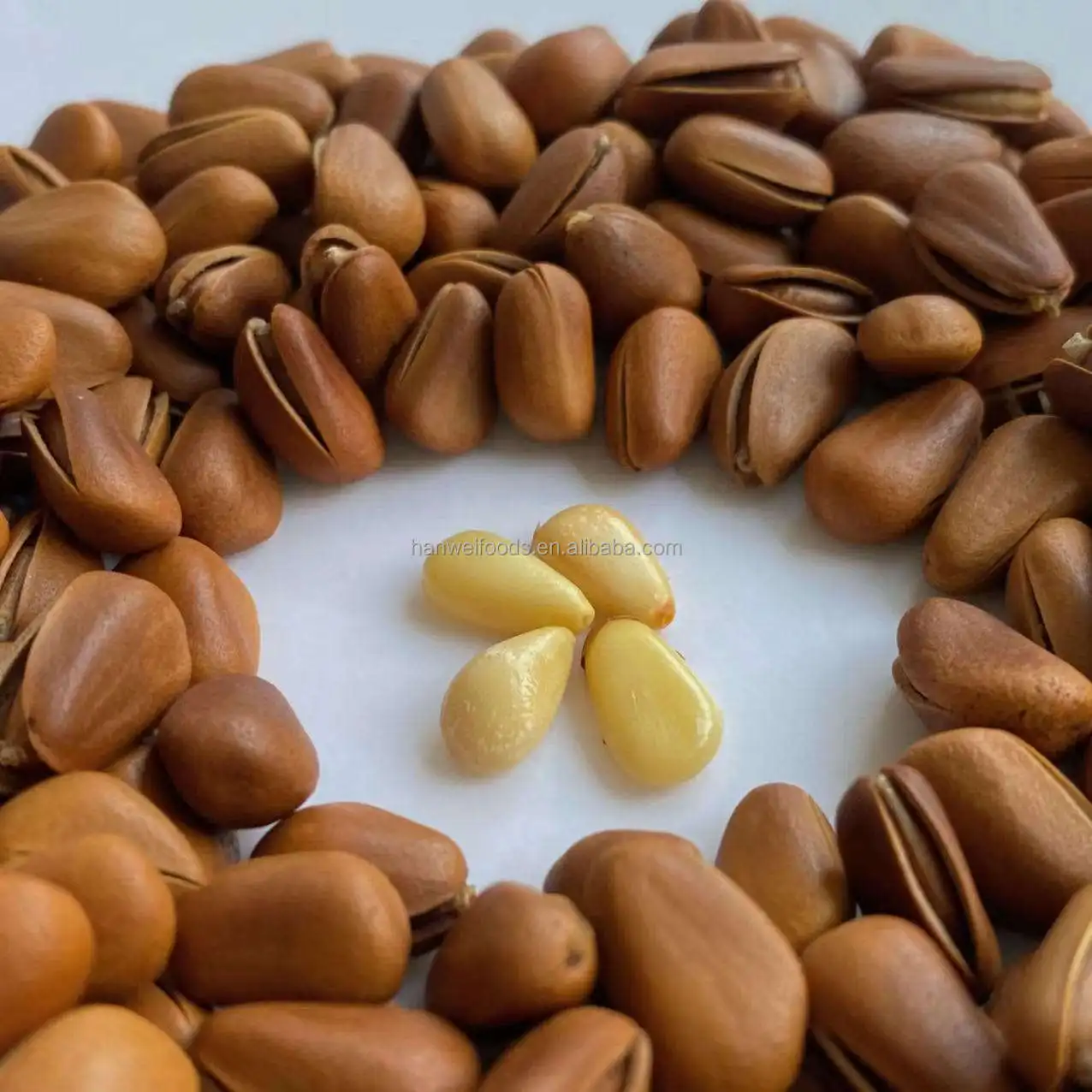 Pine Nuts Kernel - 100% Pure Natural Pine Nut Original