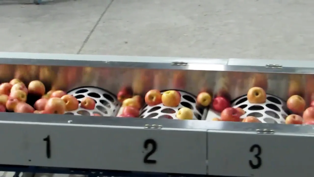 Industrial Fruit Grading Machine Apple Onion Sorting Machine - Buy ...