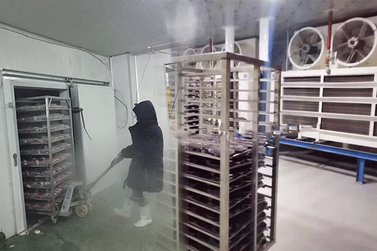 Freezer And Cold Storage Pallets Quick Frozen Cold Storage For Durian ...
