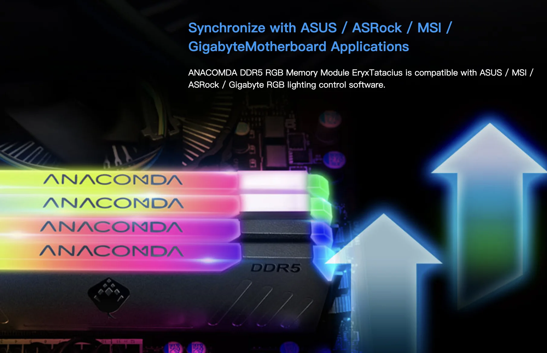 Gaming Pc Ram Ddr5 Overlocking 6000mhz Rgb Udimm With Heatsink Dram ...