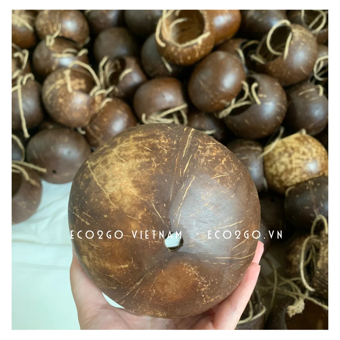 Hot Sale 2024! Eco-friendly Coconut Plant Pot Holder / Coconut Shell ...