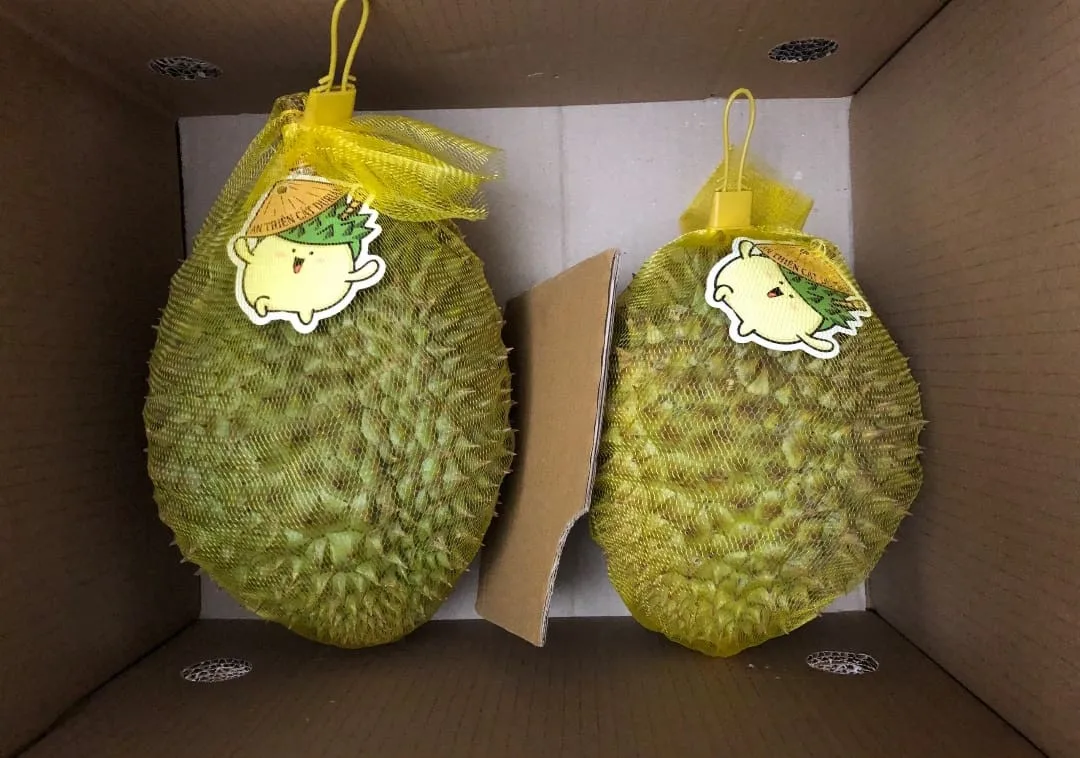 Premium Quality Frozen Durian Fruit From Vietnam Suppliers At ...