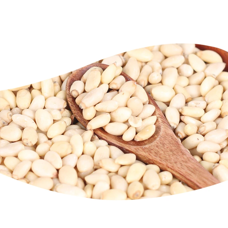 Wholesale Pine Seeds With Shells Pinoli Pignoli Nuts Pine Nut - Buy ...