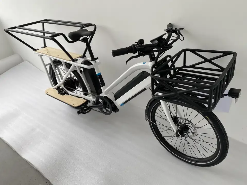 Dual Battery Long Range E Bike Electric Cargo Bike For Family Use Electric Bicycle - Buy Folding ...