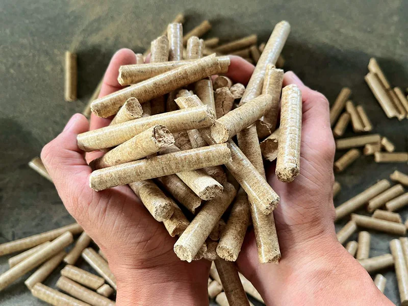 Viet Nam Rice Husk Grind - Cheap Price for Bio Fuel