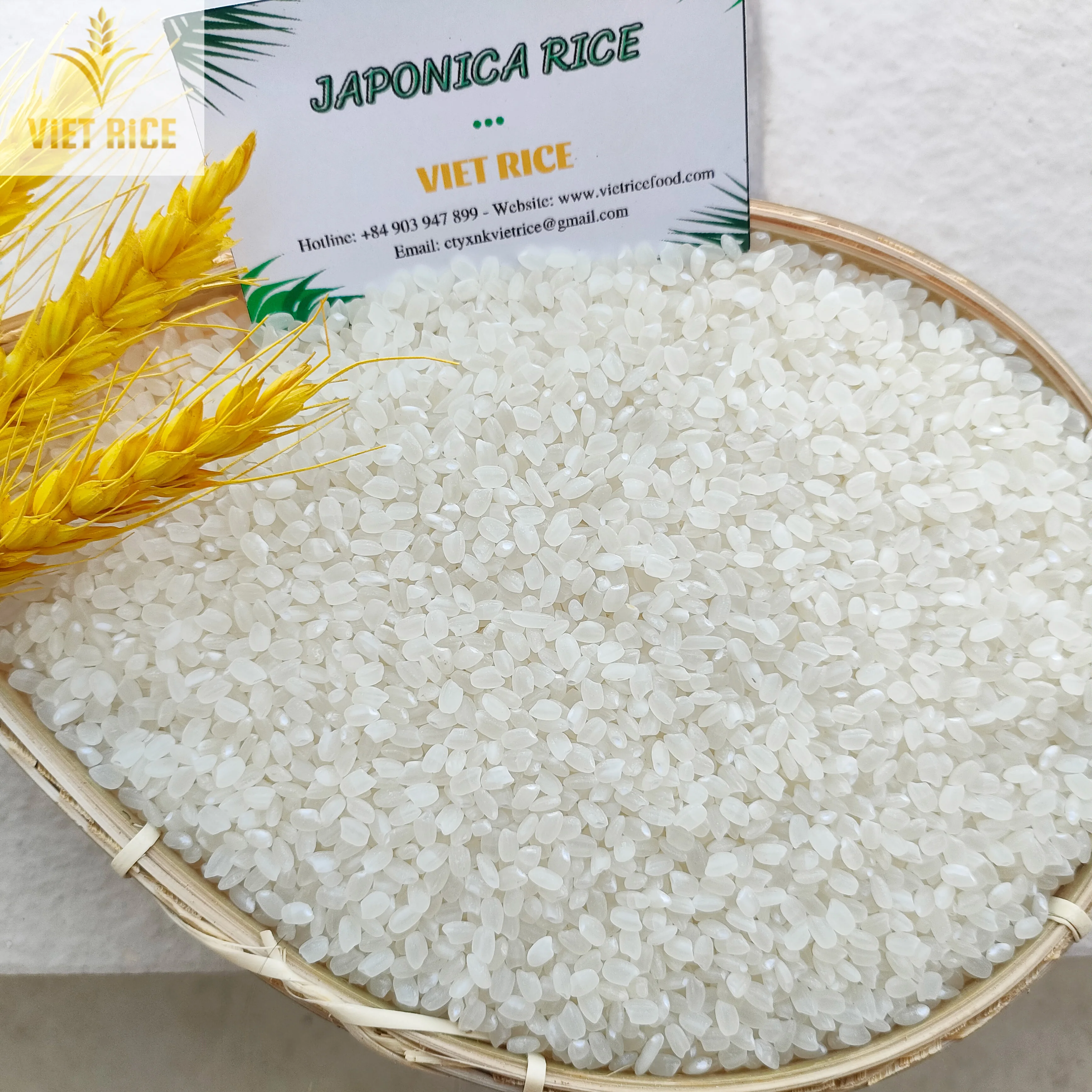 Vietnamese Rice - Japonica Is Rice Short-grain Rice Variety With Soft,Iridescent White Seeds And ...