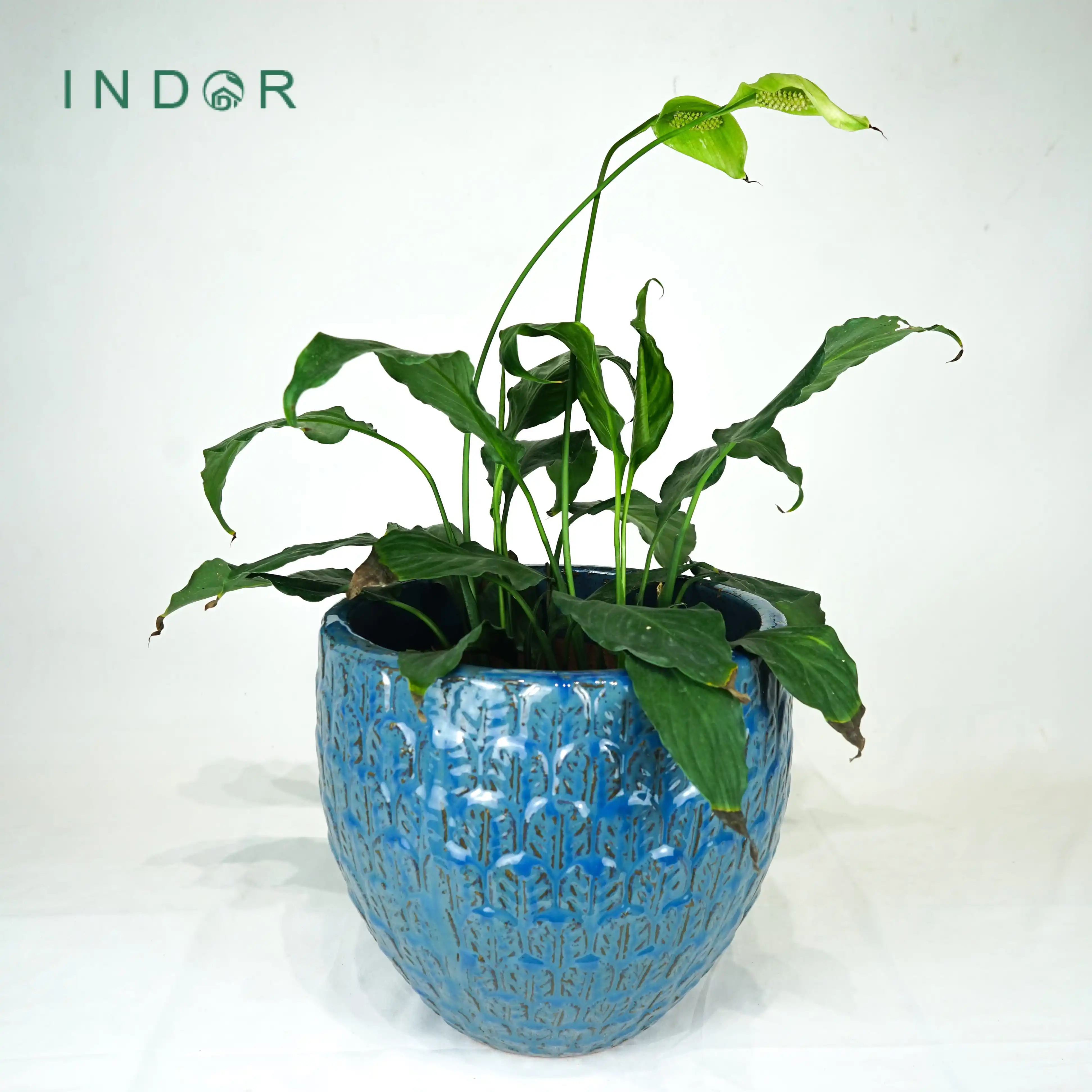 Vietnam Indor Home Glazed Floor Boughpot Mediterranean Cr04tps3 Ceramic ...