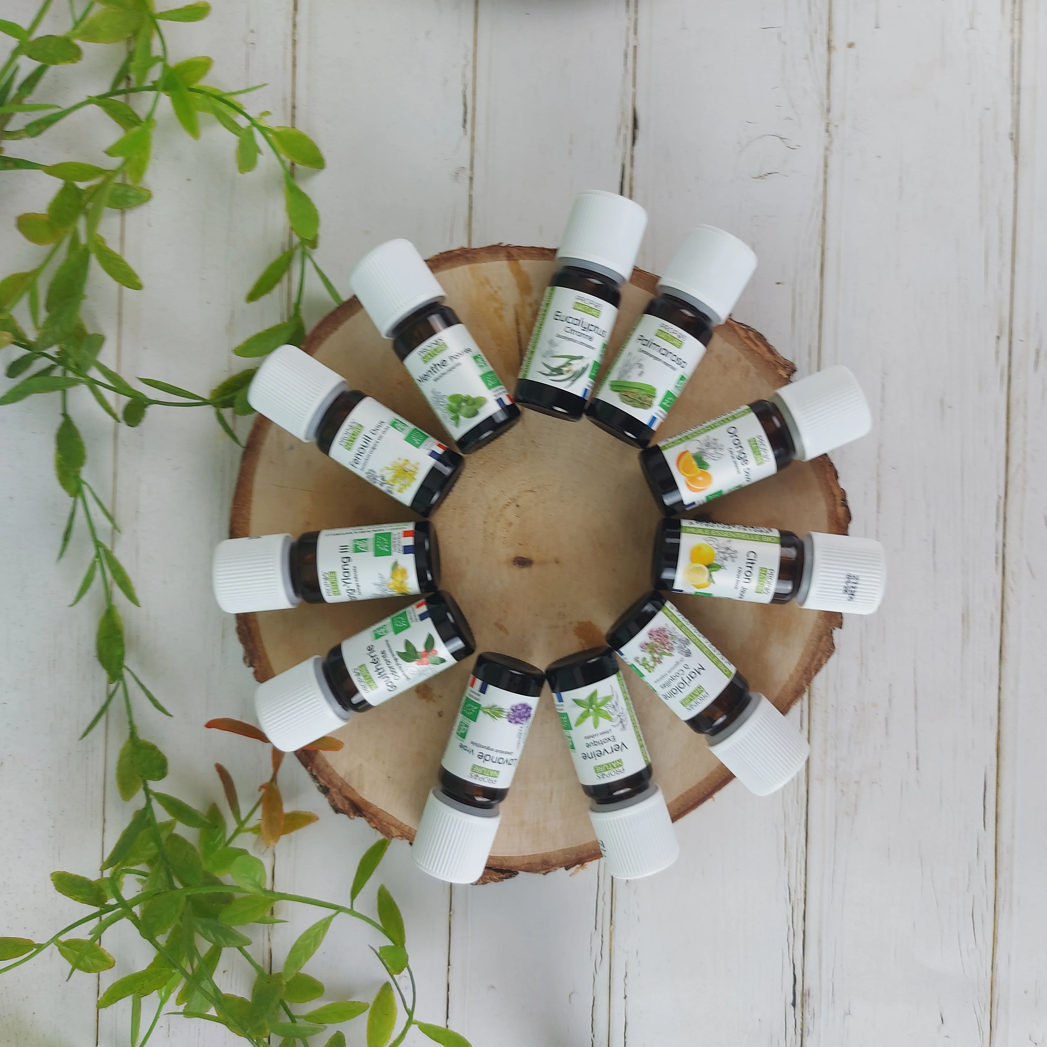 True Lavender Essential Oil - Lavandula Angustifolia - Organic ...