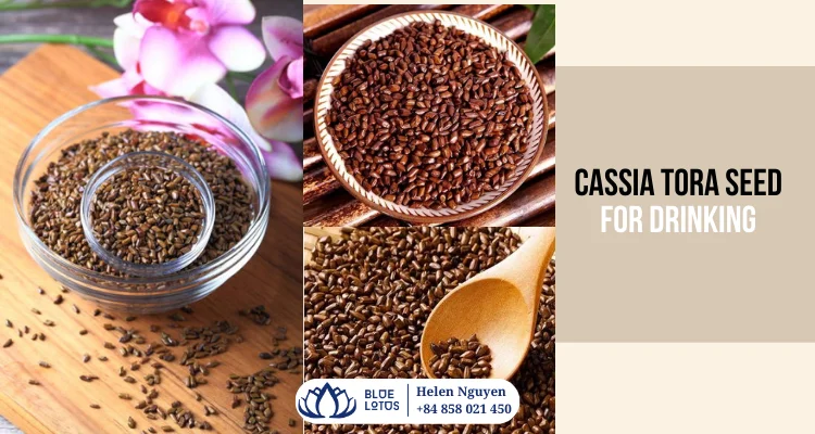 Cassia Tori Seed - High Quality from Blue Lotus Vietnam