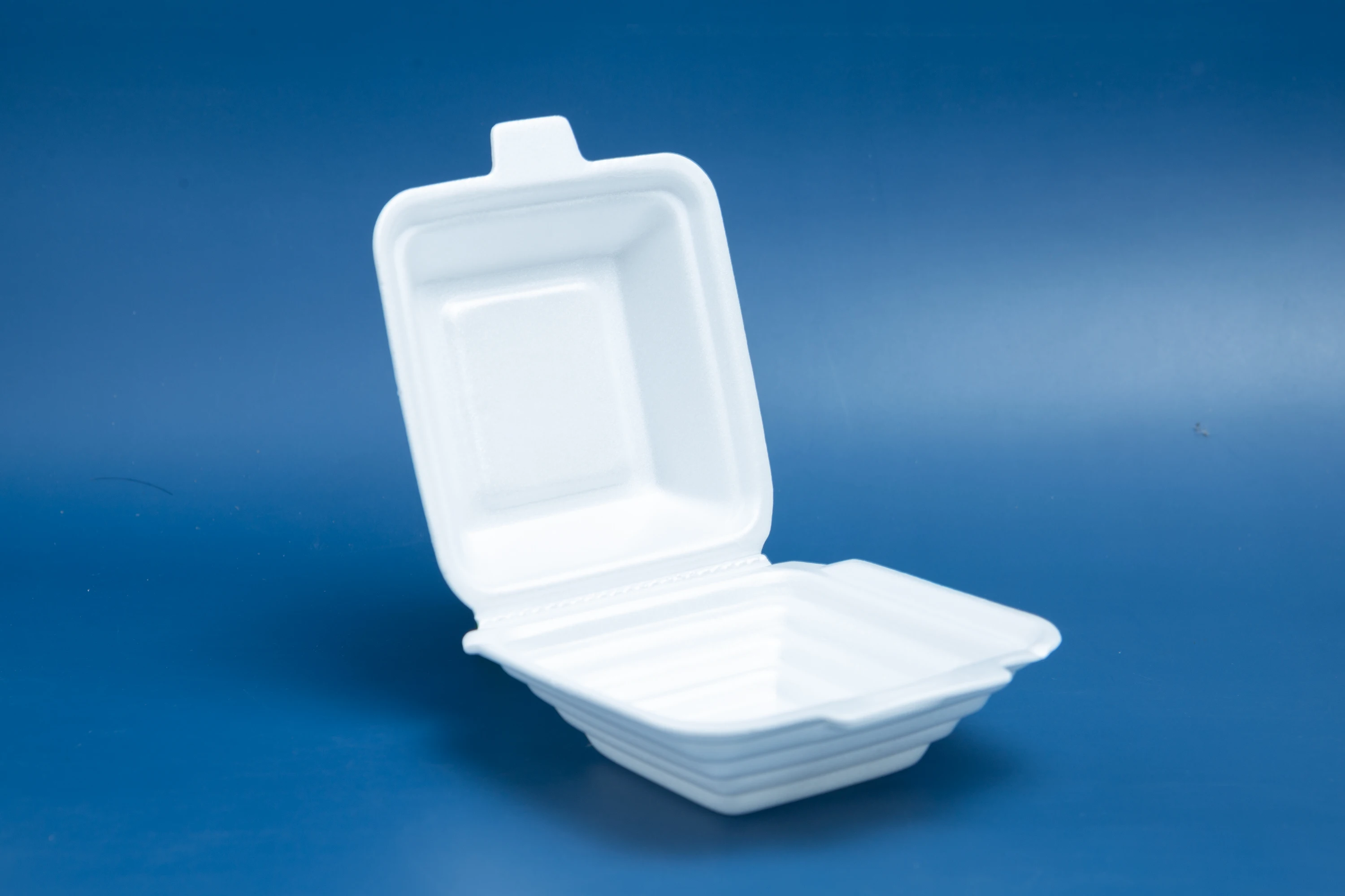Disposable Partition Food Containers Food Container Supplier Ps Foam Takeaway Food Containers ...