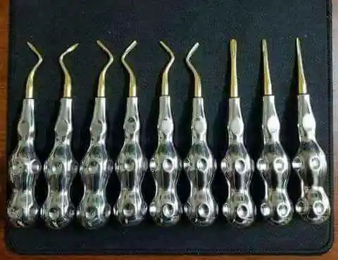 Dental Luxation Kit Surgical Luxating Tooth Extraction Root Elevators ...