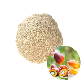 Best Sources Of Fiber Extracted From Mature Palm Trees Malaysia Oil ...