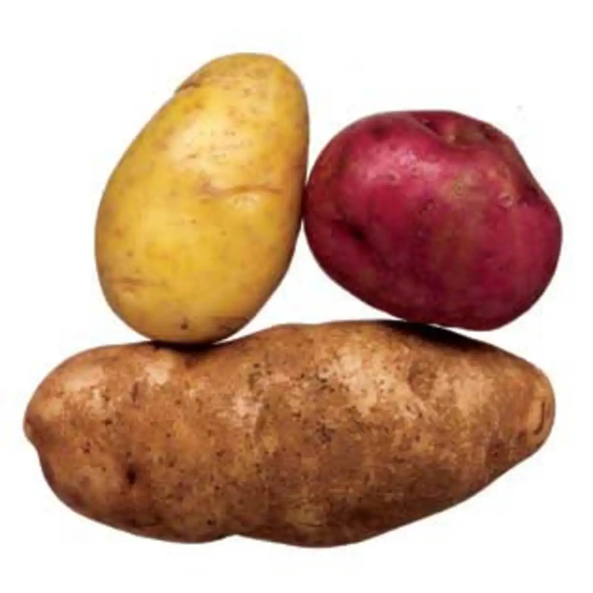 Organic Sweet Potatoes - Tasty & Natural from Vietnam